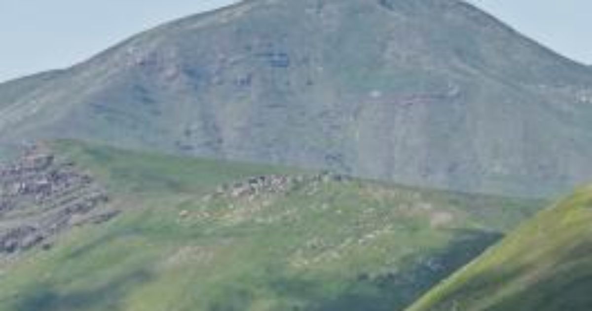 Comune di Fiumalbo - Da Bellagamba al Monte Cimone